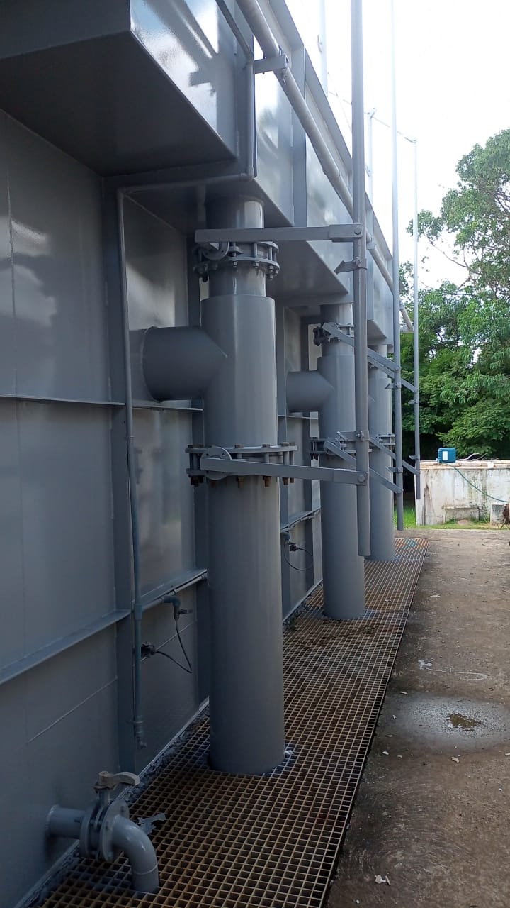 ARBORE TANQUES – Feraze